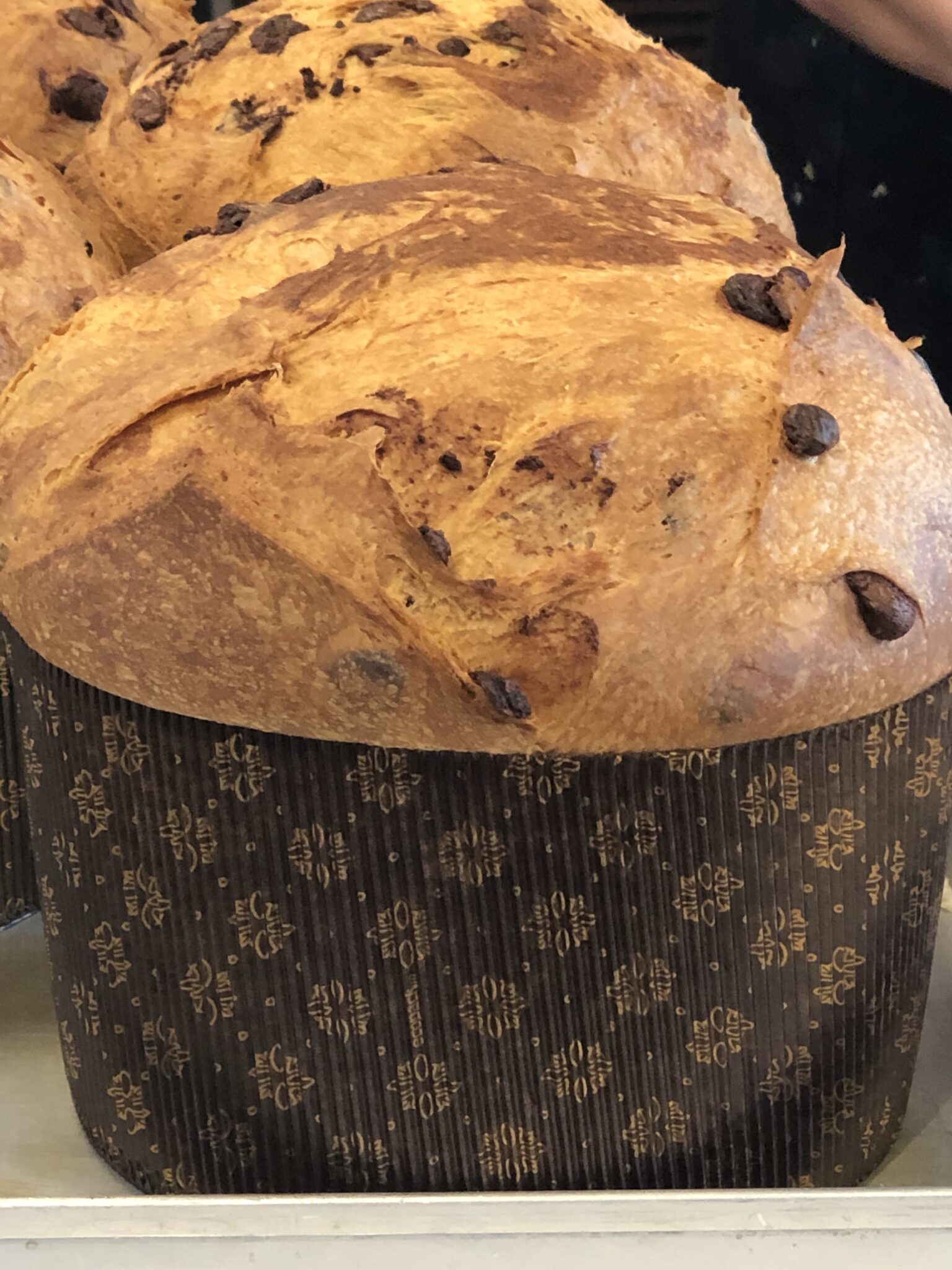 Panettone traditionnel - Pinochi